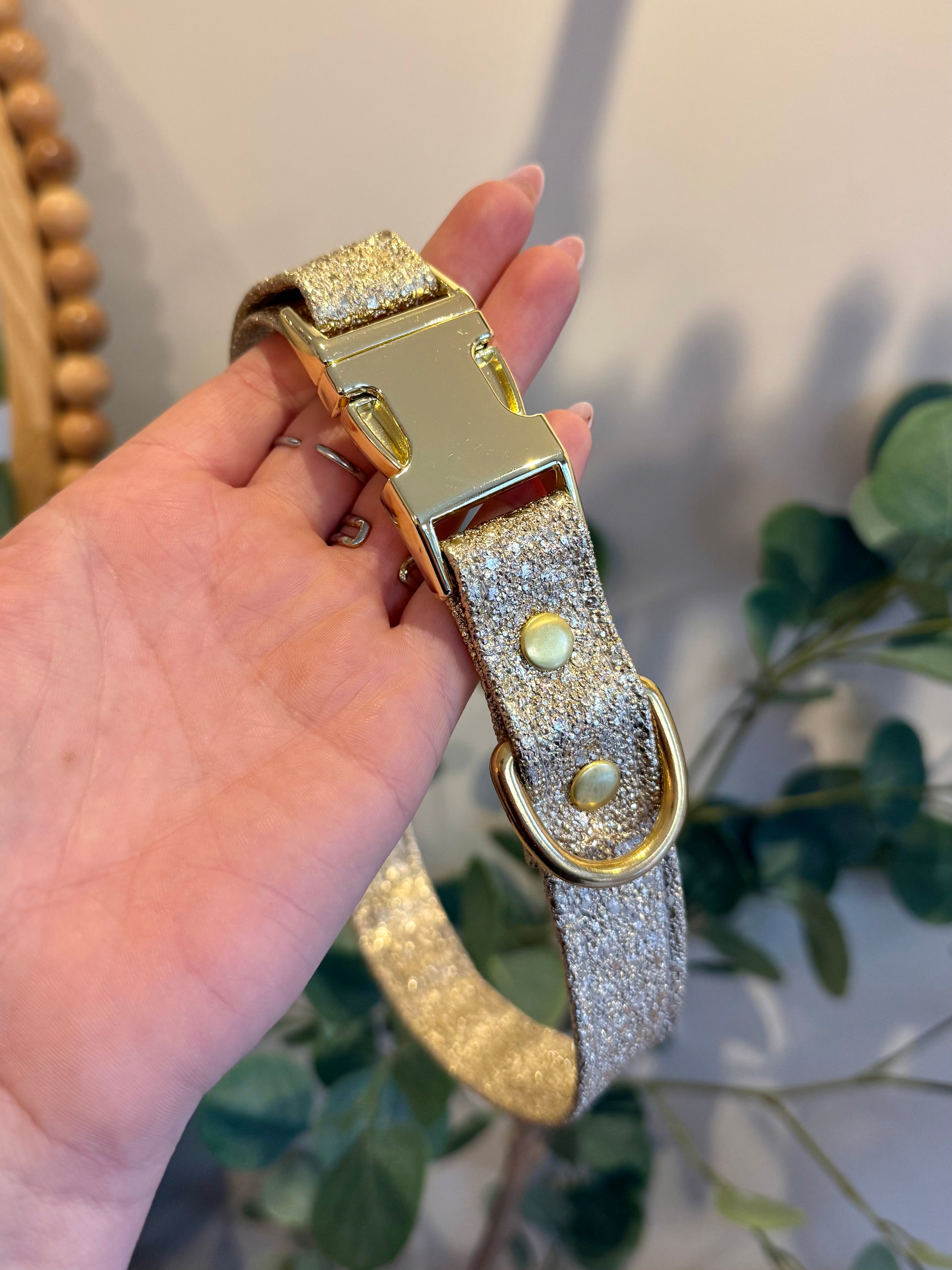COLLIER GOLDEN PAWTY – Pattounes